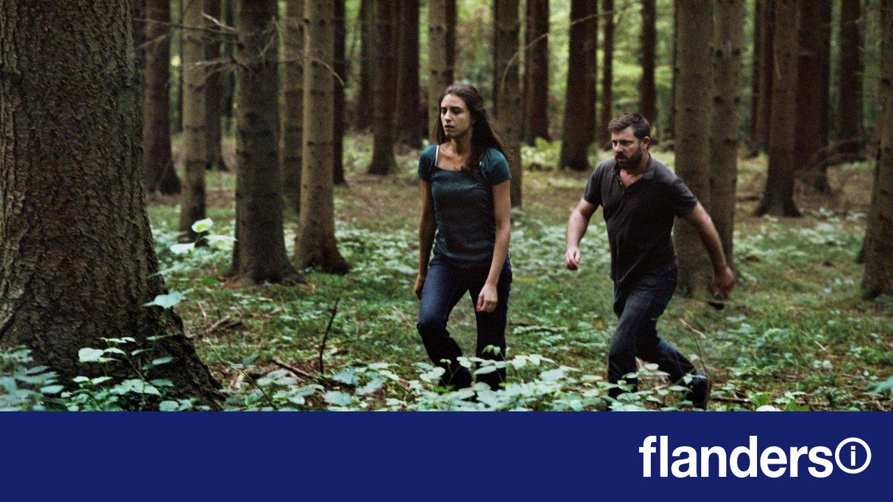 The Fall - Flanders Image