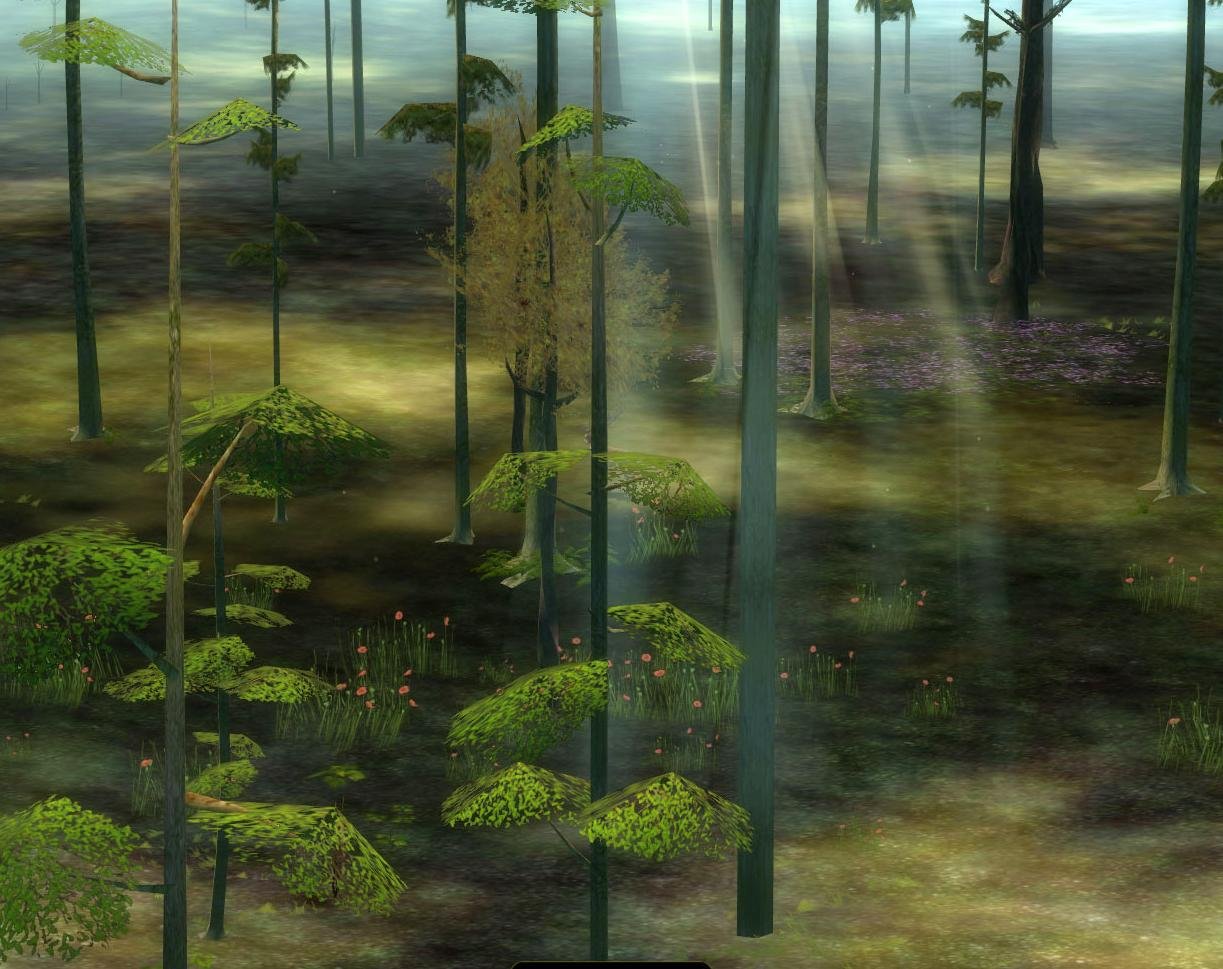 The Endless Forest - Flanders Image