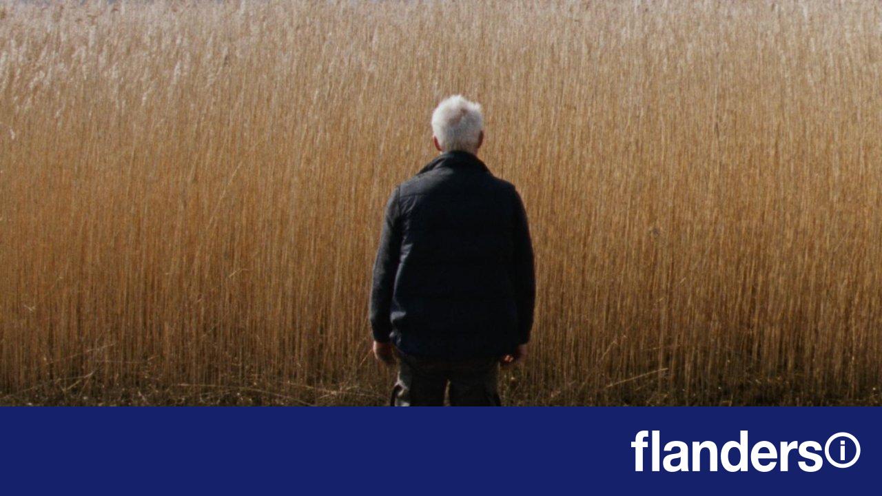 Reedland - Flanders Image