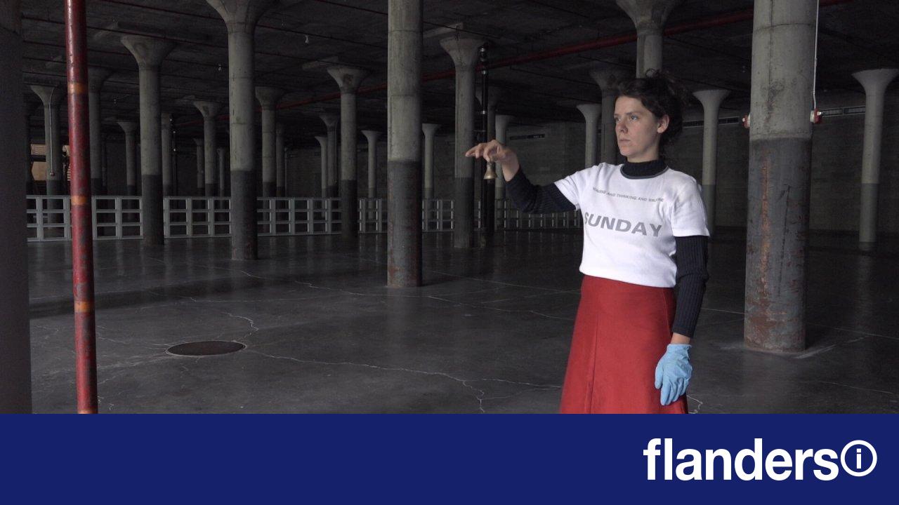 The Single Screen - Flanders Image