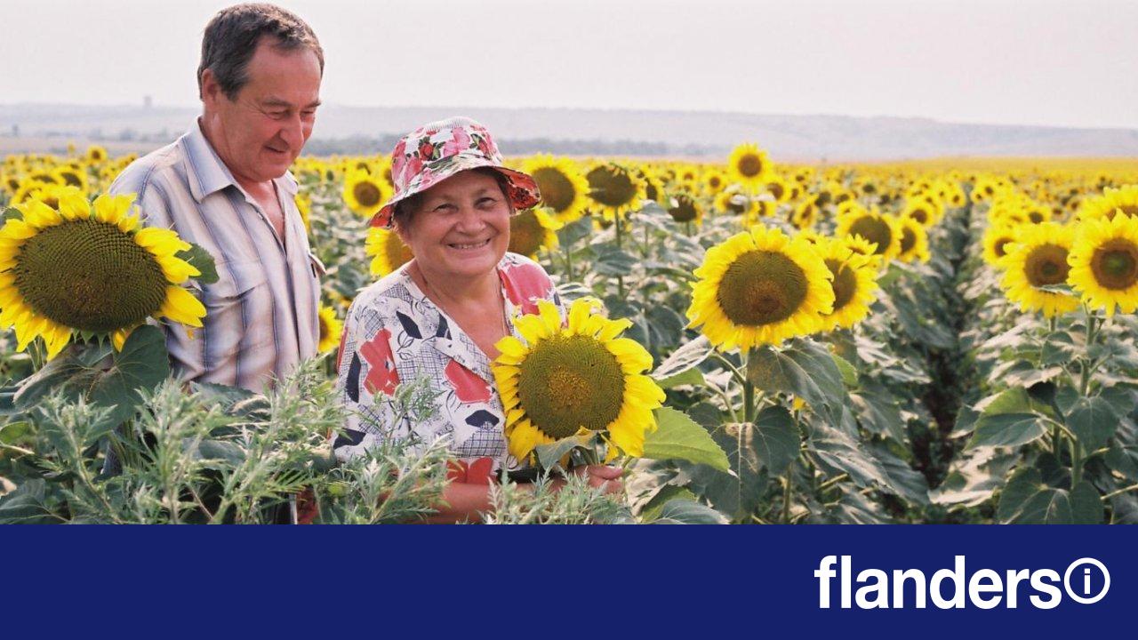 Girls and Honey - Flanders Image