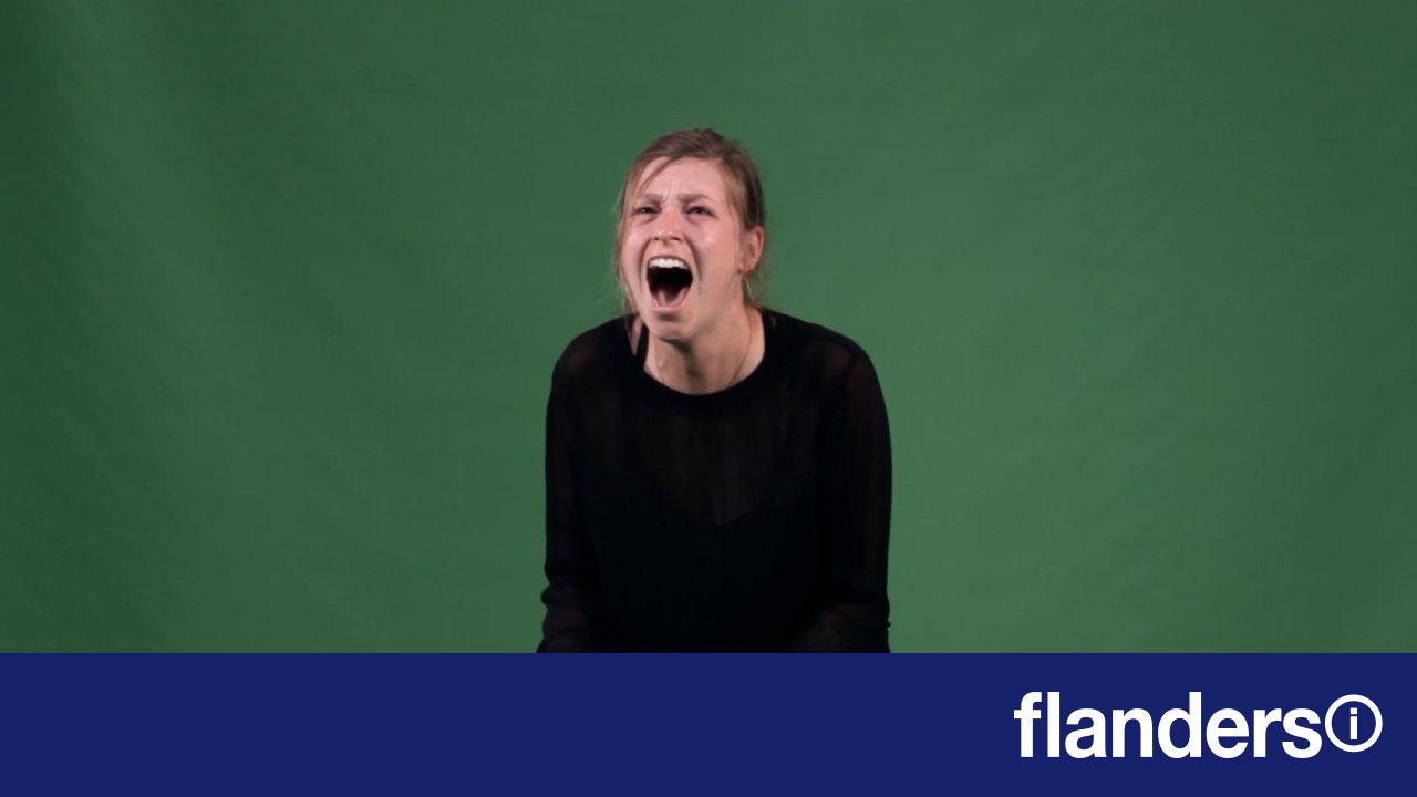 Scream Test - Flanders Image