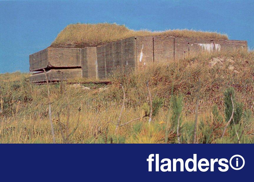 Hitler's Atlantic Wall - Flanders Image