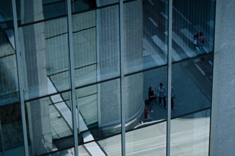 Window - Flanders Image
