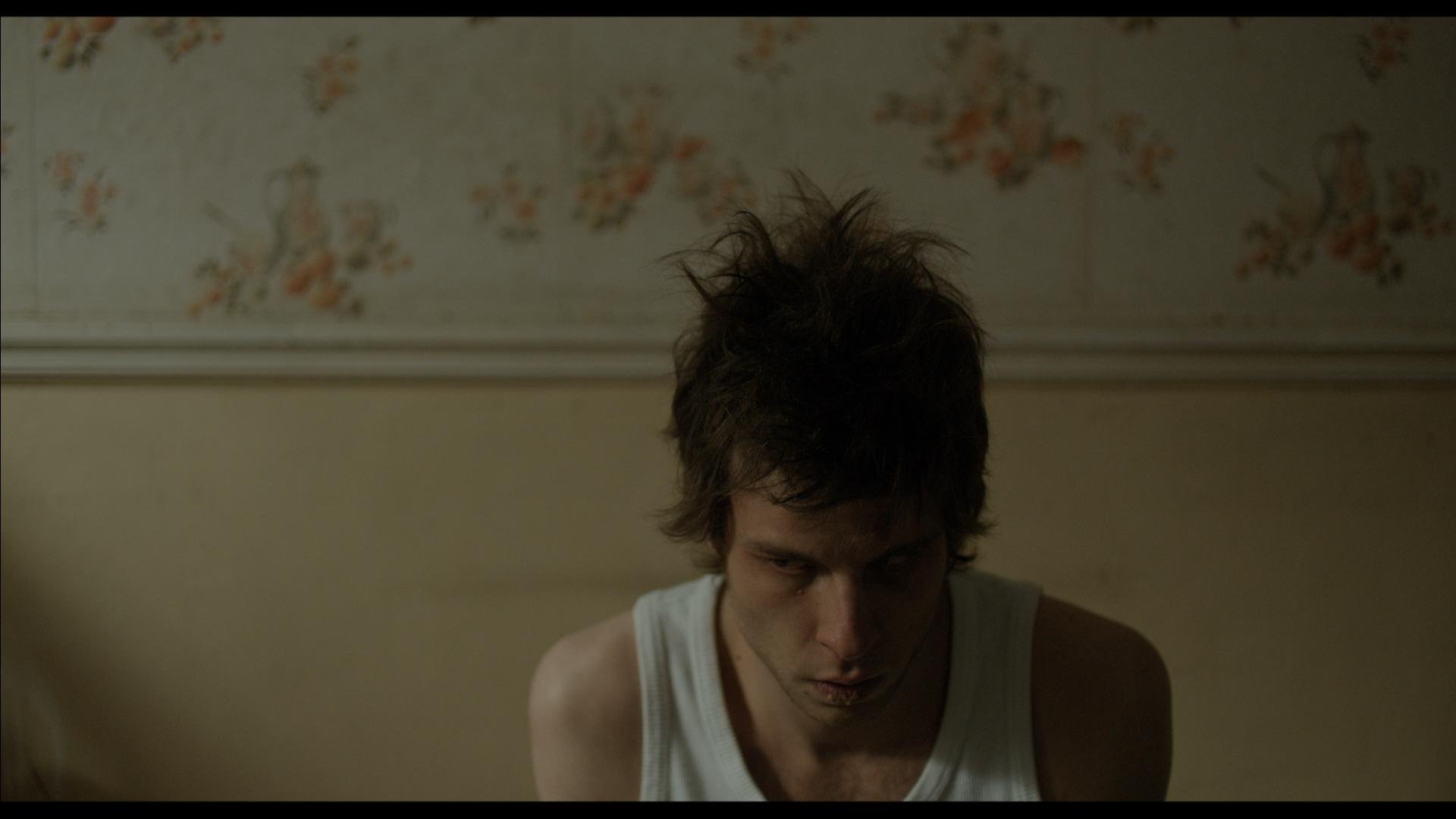 Prodrome - Flanders Image